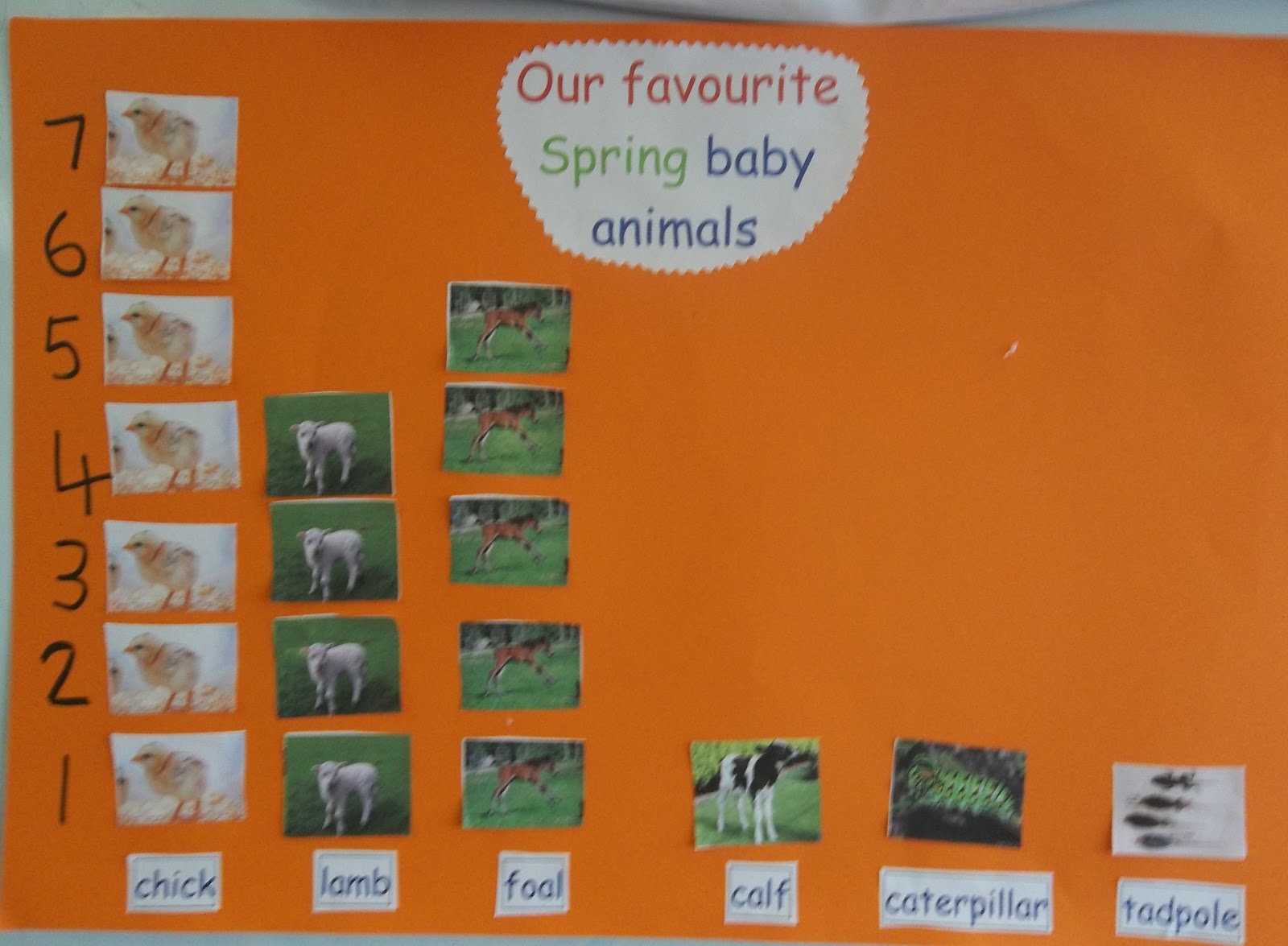 Ms. Flaherty's class - Senior Infants: Our favourite Spring baby ...