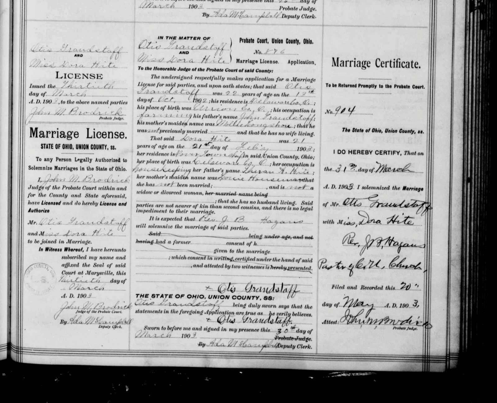 Climbing Wendy's Family Tree