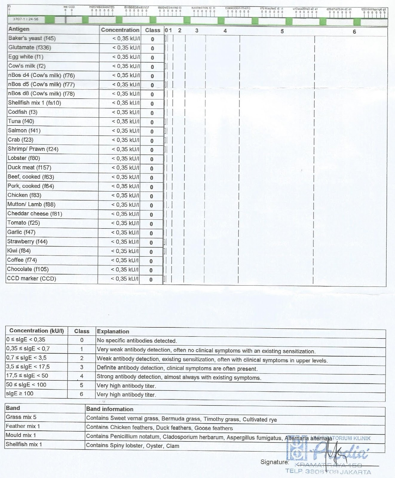 Pengalaman dengan Penyakit Autoimun: Rincian Tes Darah Setelah Diagnosa ...