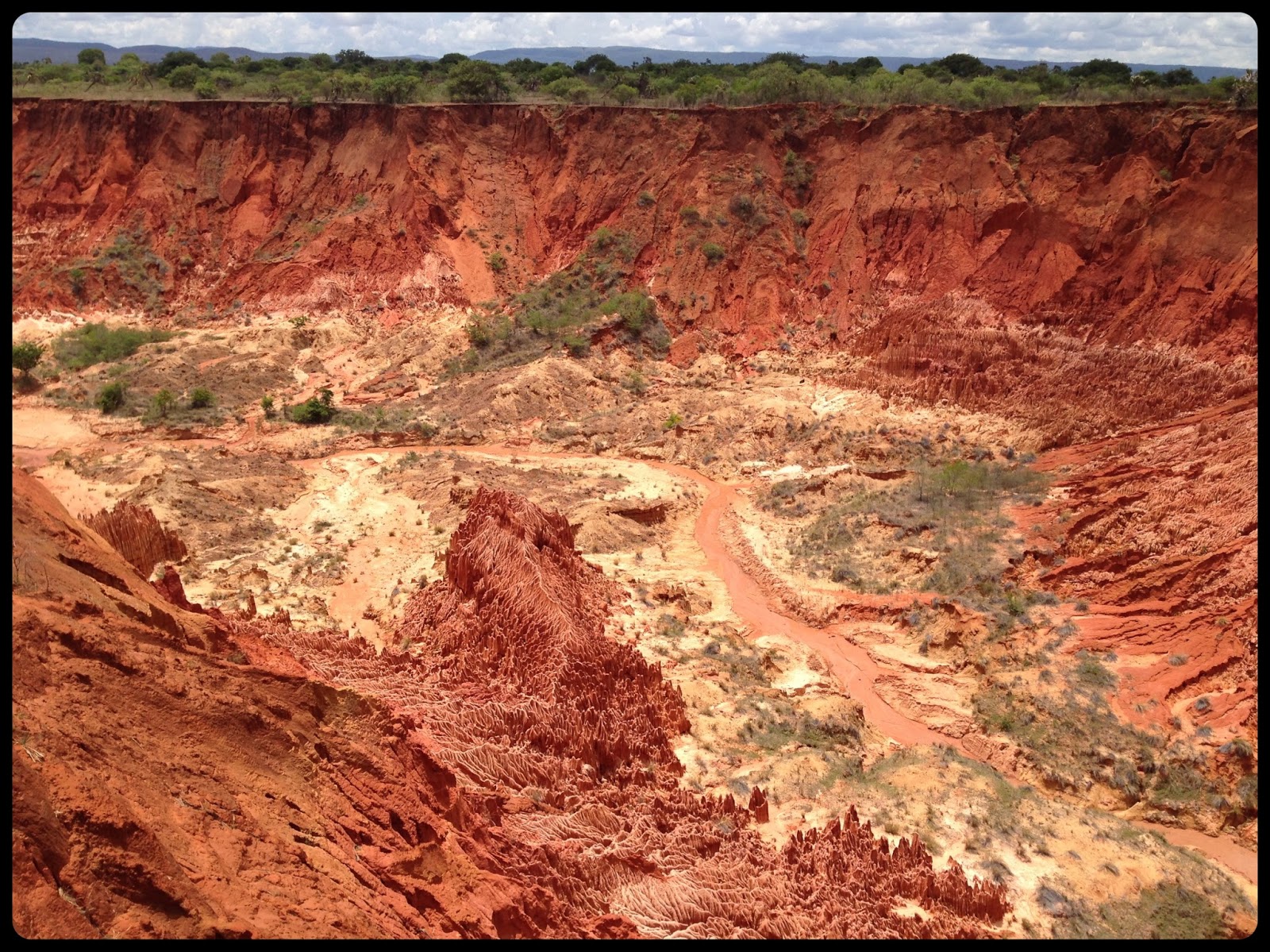 Just jump. Oh, and hang on.: Madagascar: The Red Island