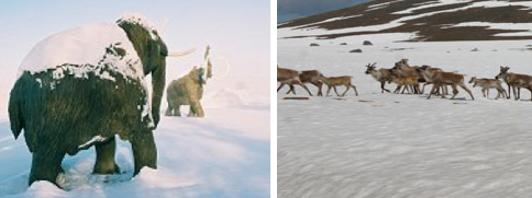 NephiCode: Time to Bury the Beringia Land Bridge