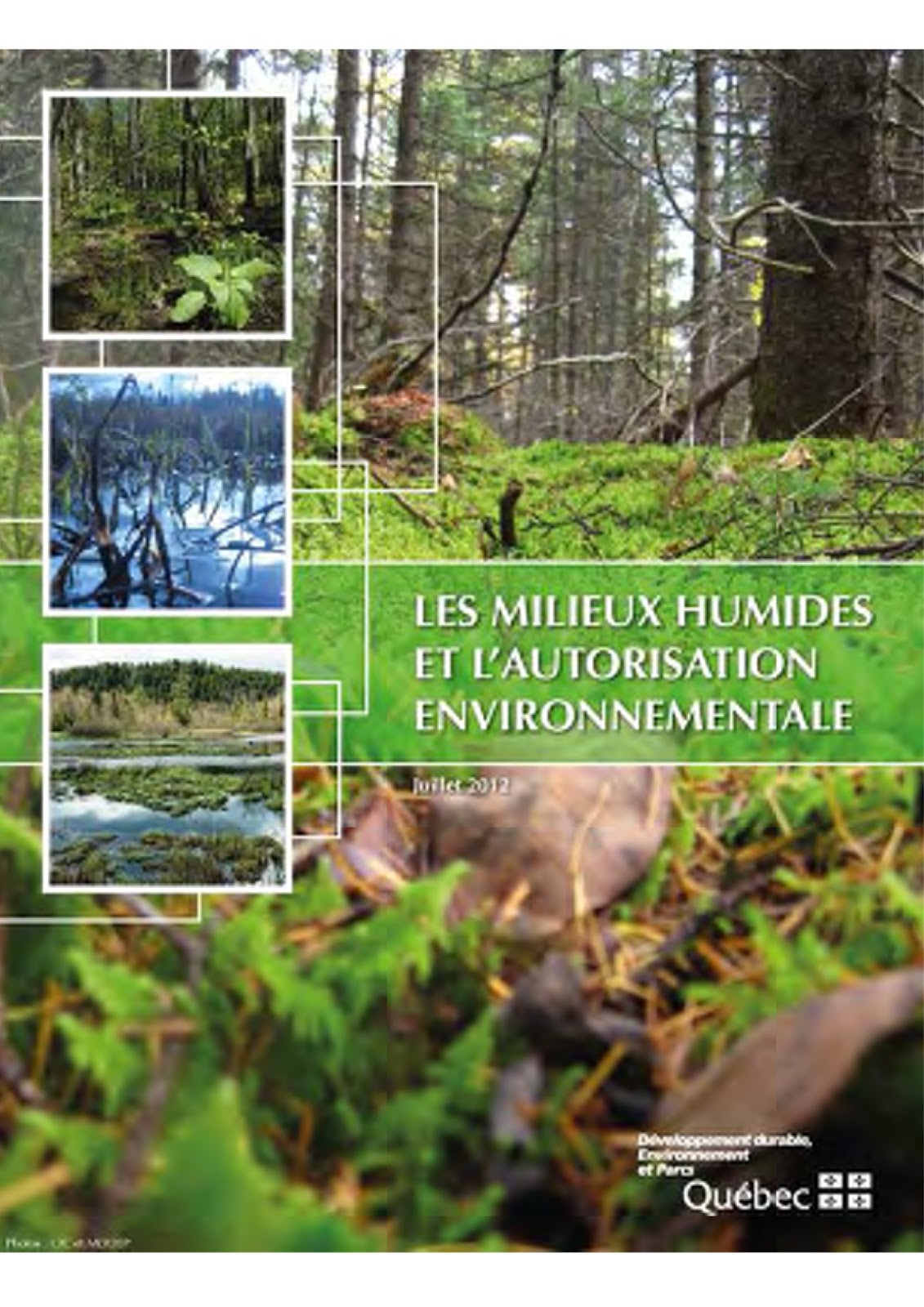 Lac Simon "One Lake - One Chance": Cartograhie des Milieux Humides: Lac ...