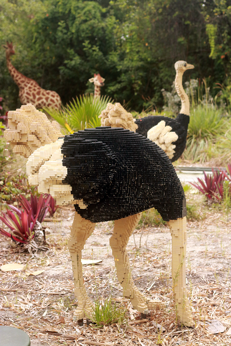 Legoland day 1 photos!