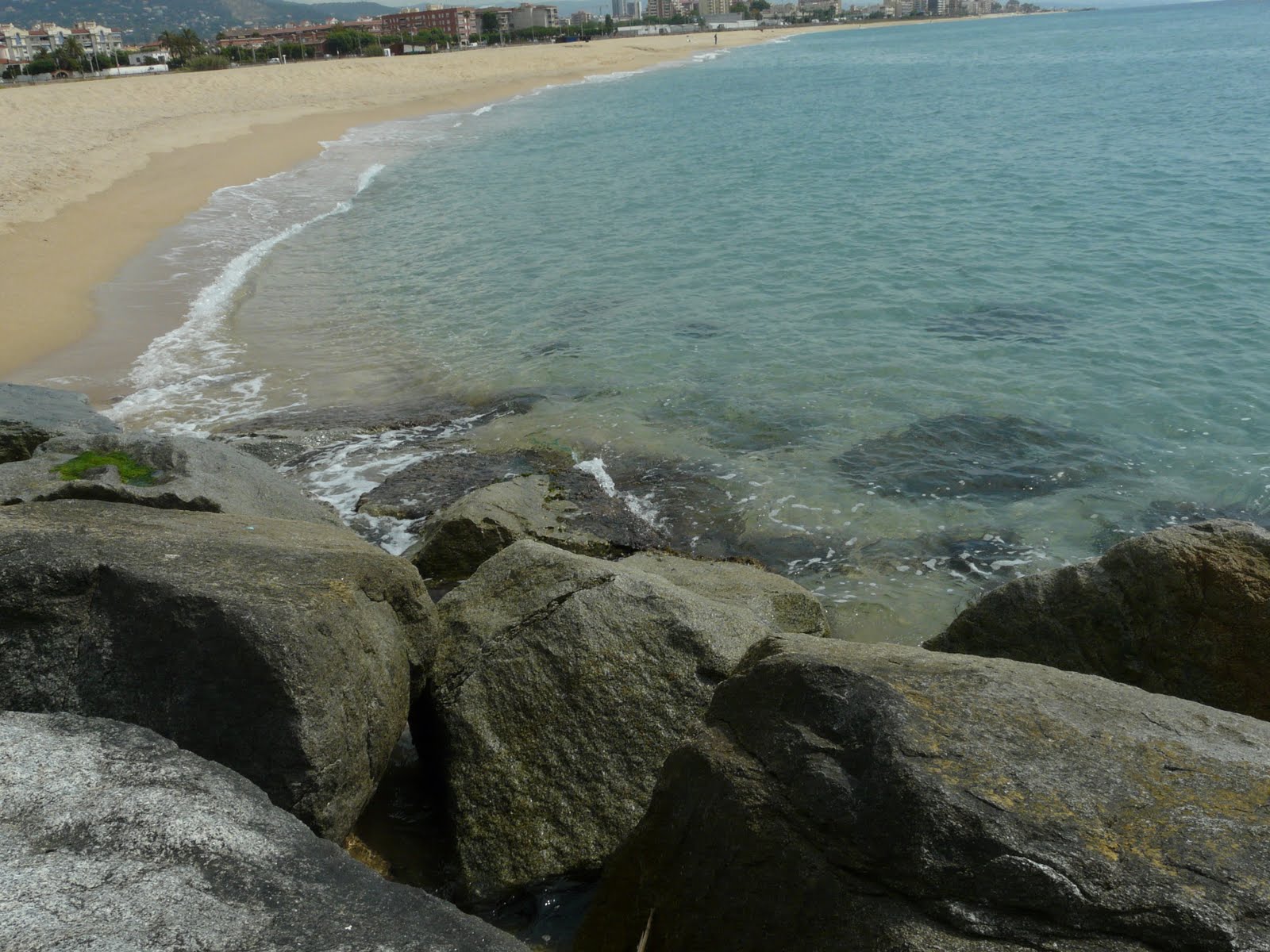 BAIX MARESME MICROCLIMA: ZONA COSTERA - PLAYAS