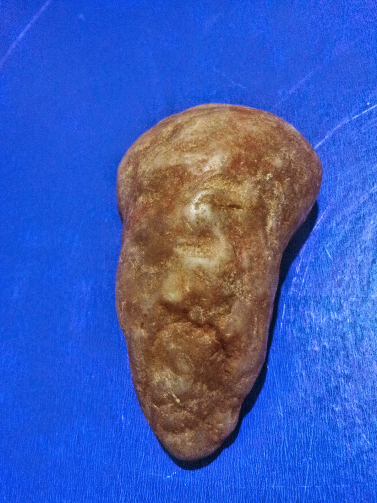 silvium antiques: Very rare finger Fossil Something very strange