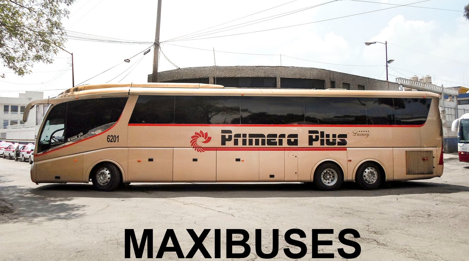 MAXIBUSES: PRIMERA PLUS