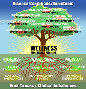 Our Journey Of Completion~Body~Heart~Soul: FUNCTIONAL MEDICINE ~ ROOT CAUSES