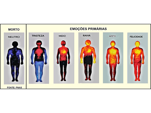 Despertar Filosófico: O QUE SÃO SENTIMENTOS?