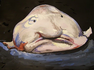 Durango Texas: A Blobfish Sent To Texas From The Pacific Northwest