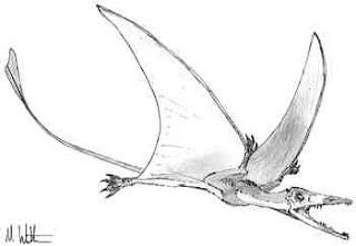 Reptossaurus: PREONDACTYLUS