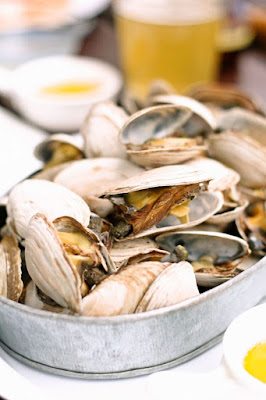 Perfectly imperfect : New England Steamers