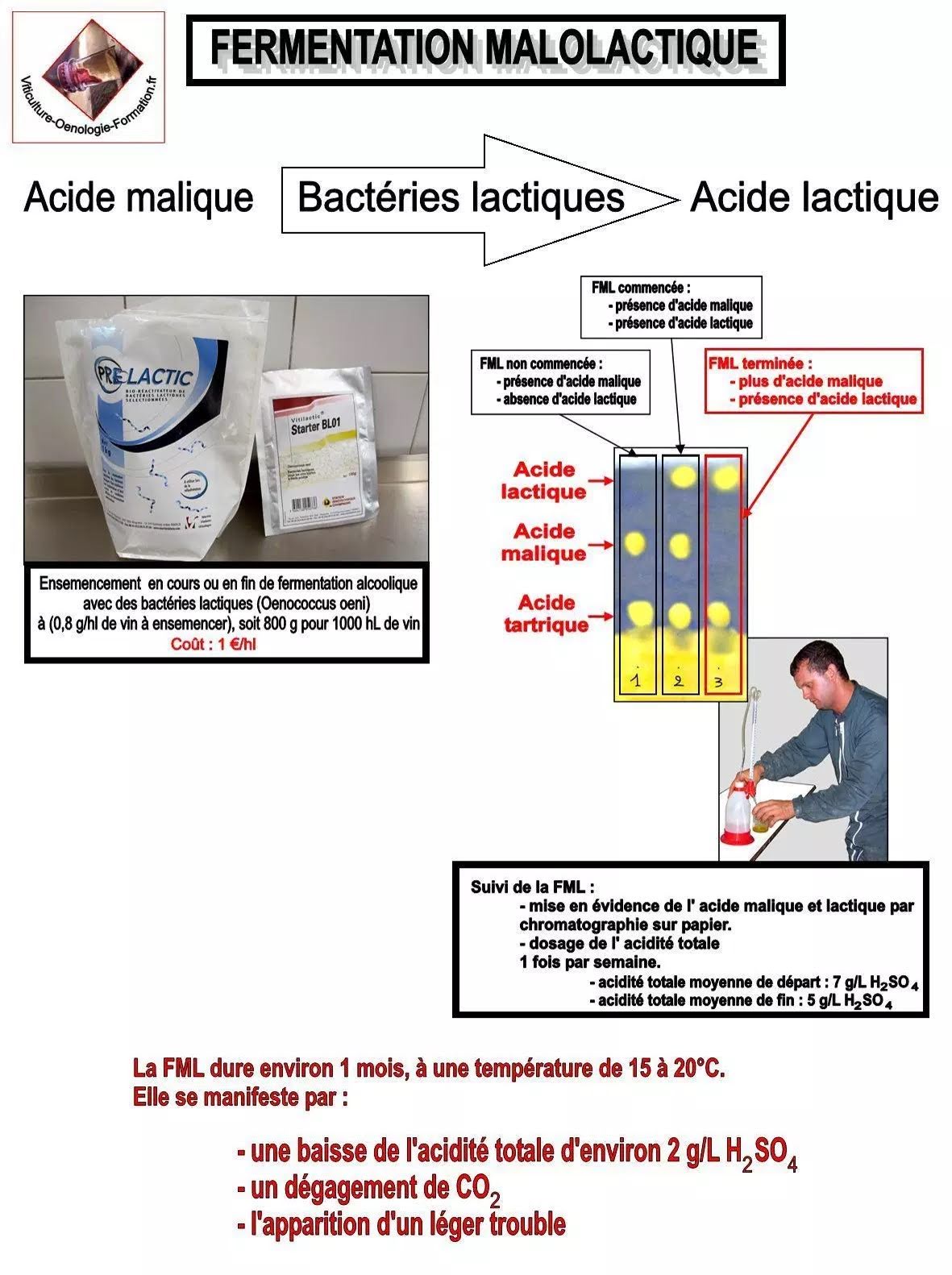 Cours Œnologie - Michel VERON: Fermentation malolactique