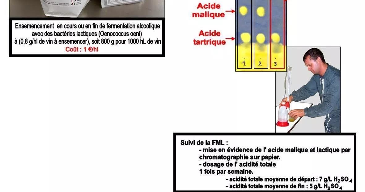 Cours Œnologie - Michel VERON: Fermentation malolactique