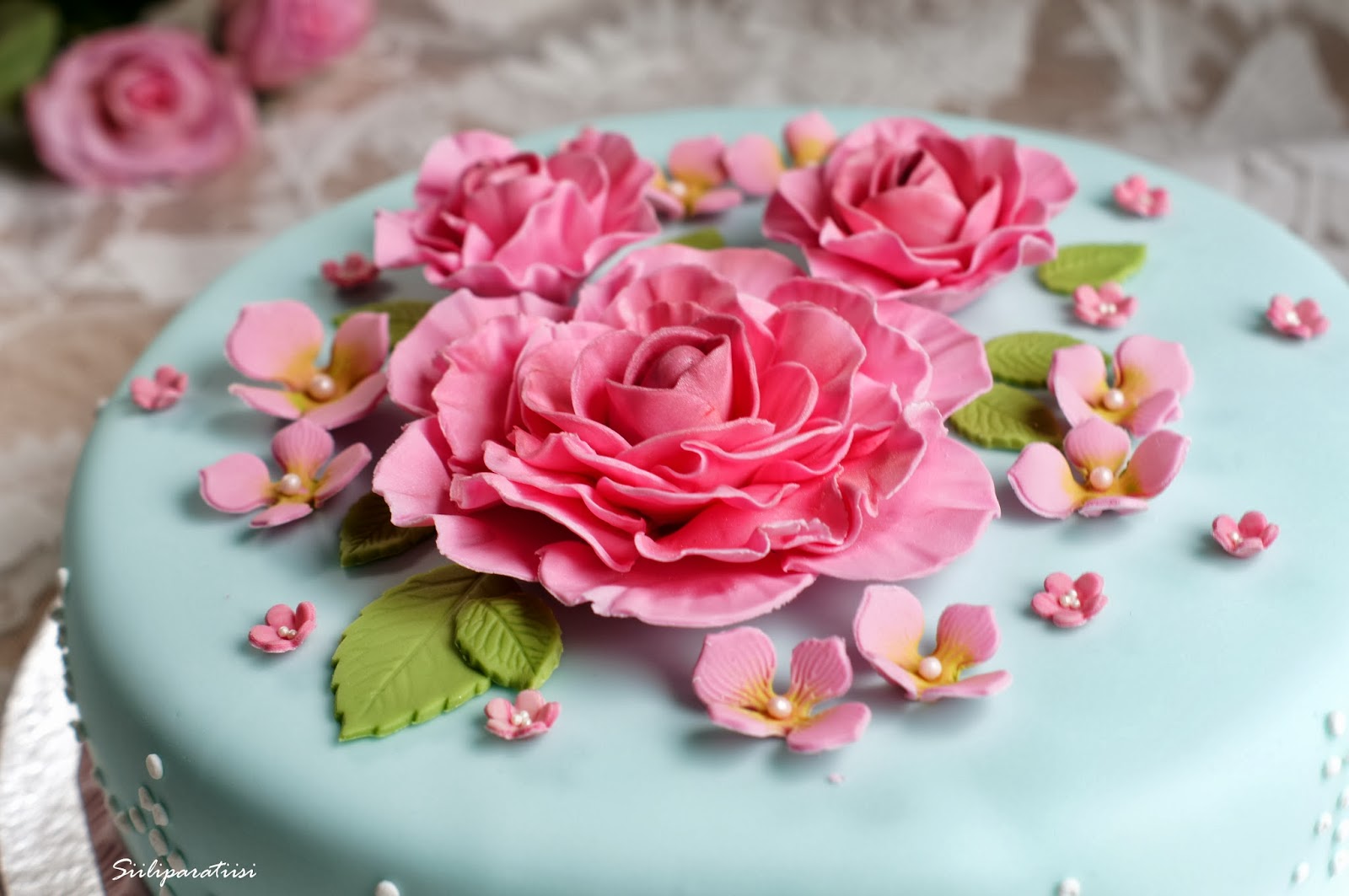 Siiliparatiisi: Vintage-kakku