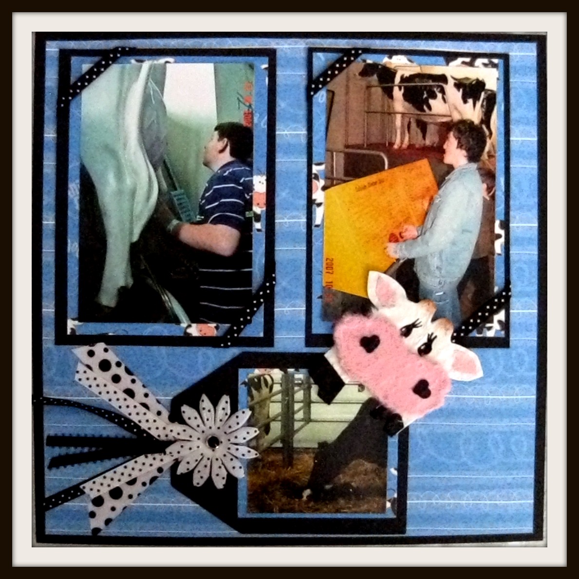 Visions of Paper: Got Milk? Fair Oaks Farm Cow Scrapbook Layout and Cow ...