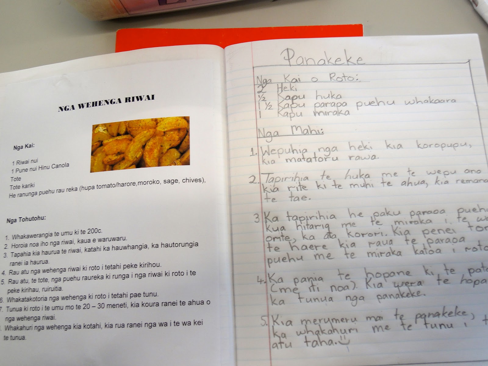 Akiachak to Aotearoa: One Teacher's Adventure!: Experience in Ruamata ...