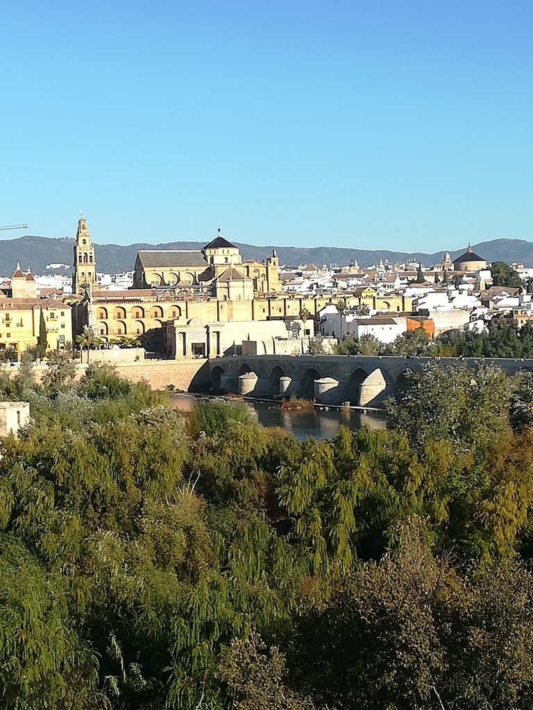 Cosas mías : Córdoba: Un paseo por la ribera del río.