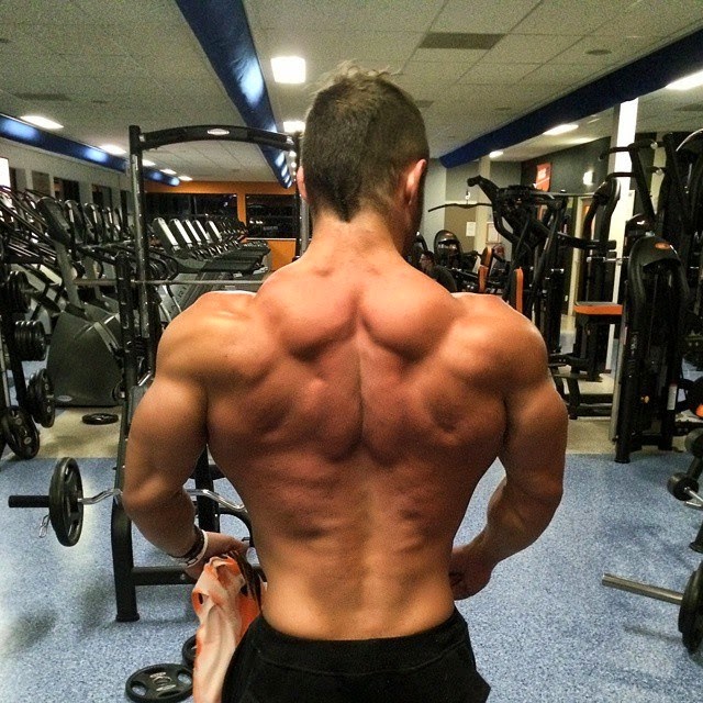 Tavi Castro - Fitness Model | Bodybuilding and Fitness Zone