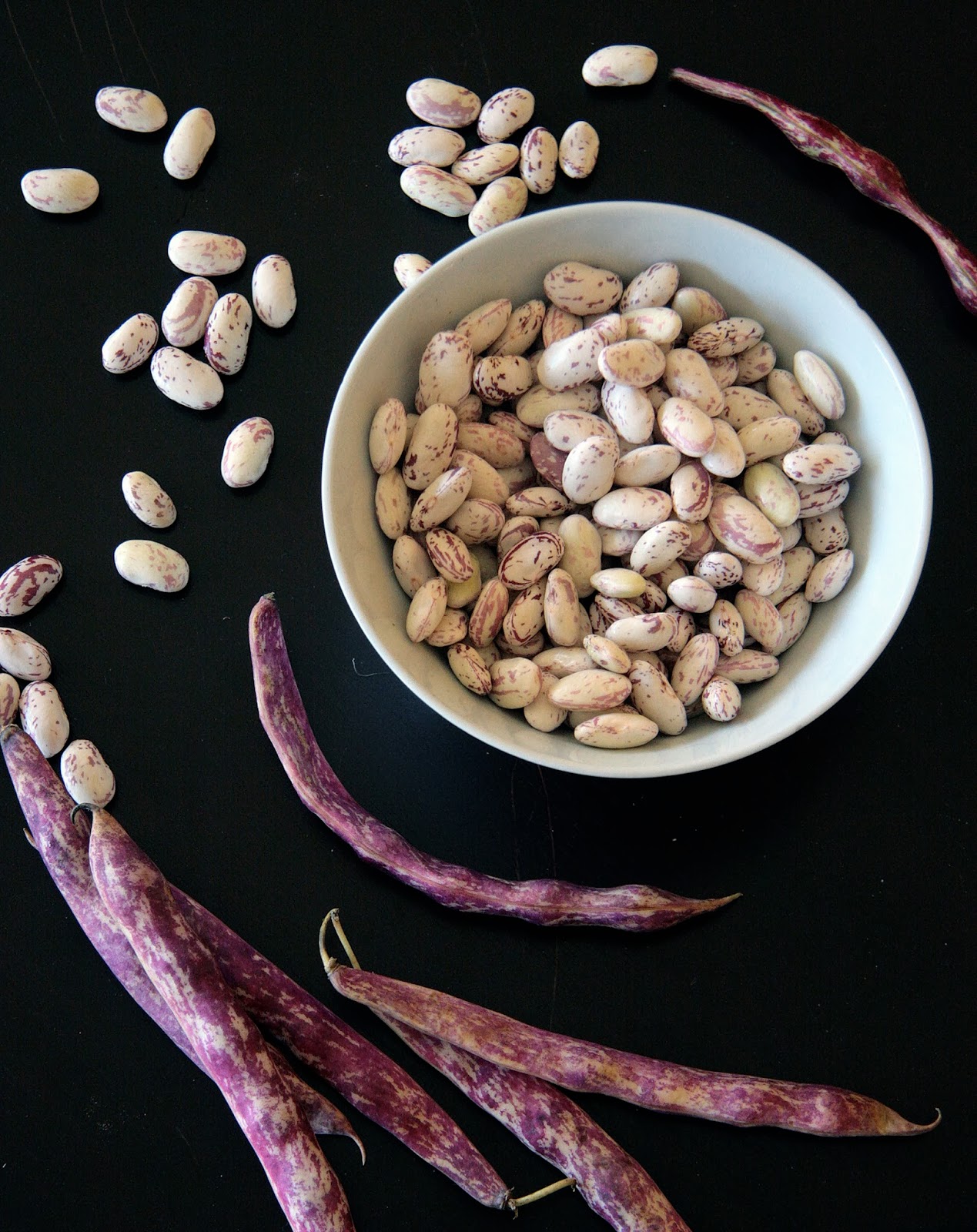 Cranberry Bean Mole with Butternut Squash » Local Food Rocks