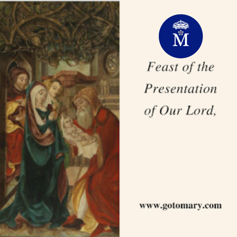 Feast of Presentation of the Lord or Candlemas - Go to Mary