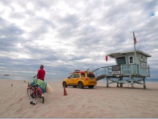 VL Artist of the Day: Connie Dines is Visual Language Magazine Artist ...