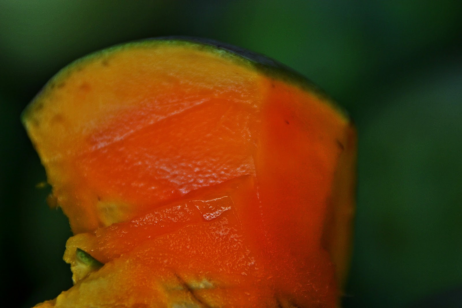 My World: MEMPELAM HARUM MANIS