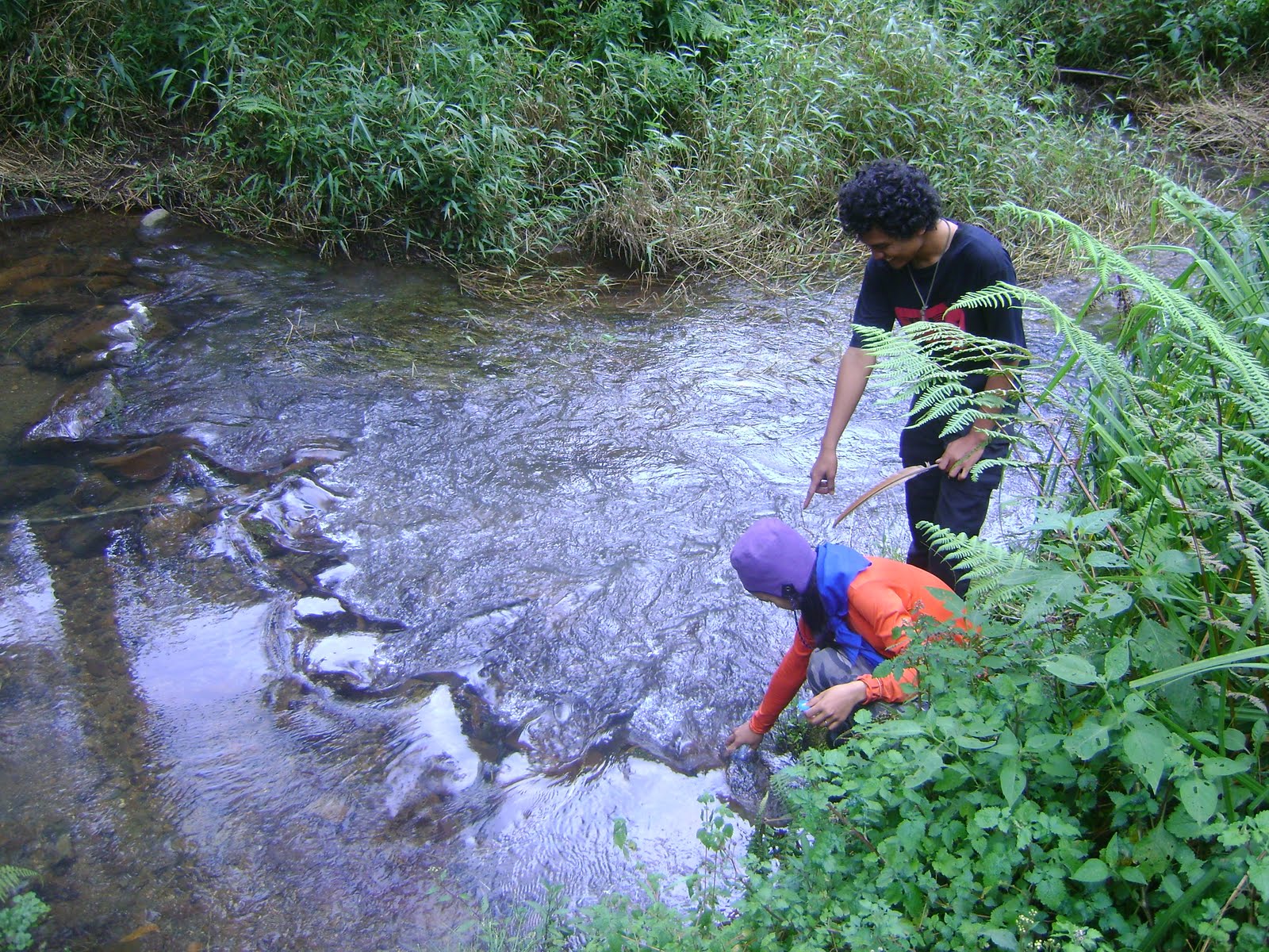 GARBA WIRA BHUANA: Gunung Argopuro via Bremi - Baderan