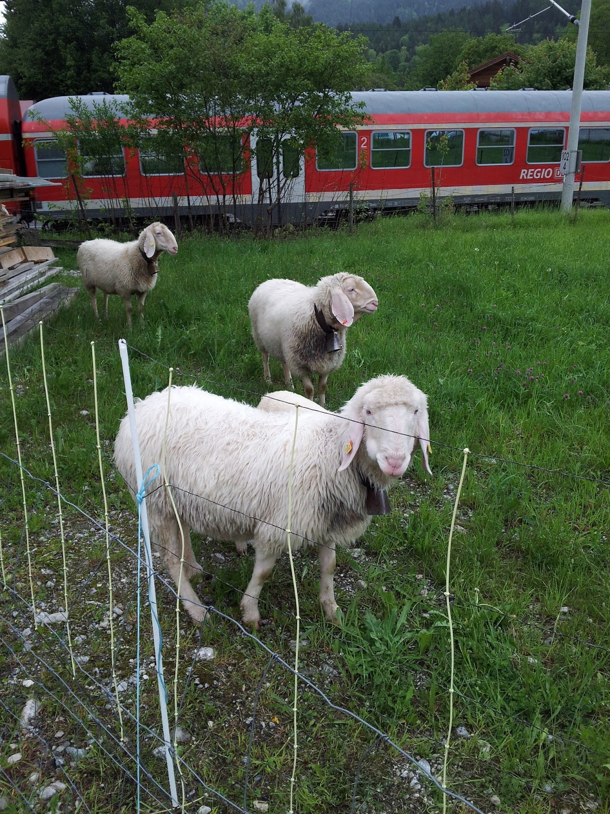 Germany: I Am More German Than You: The Alps! (May 23. & 24.)