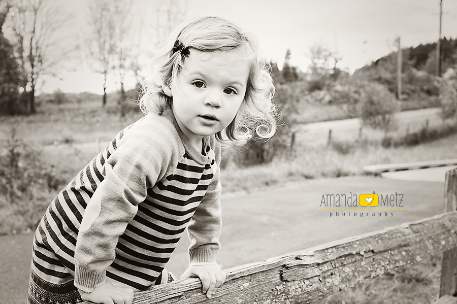 Amanda Metz Photography Blog