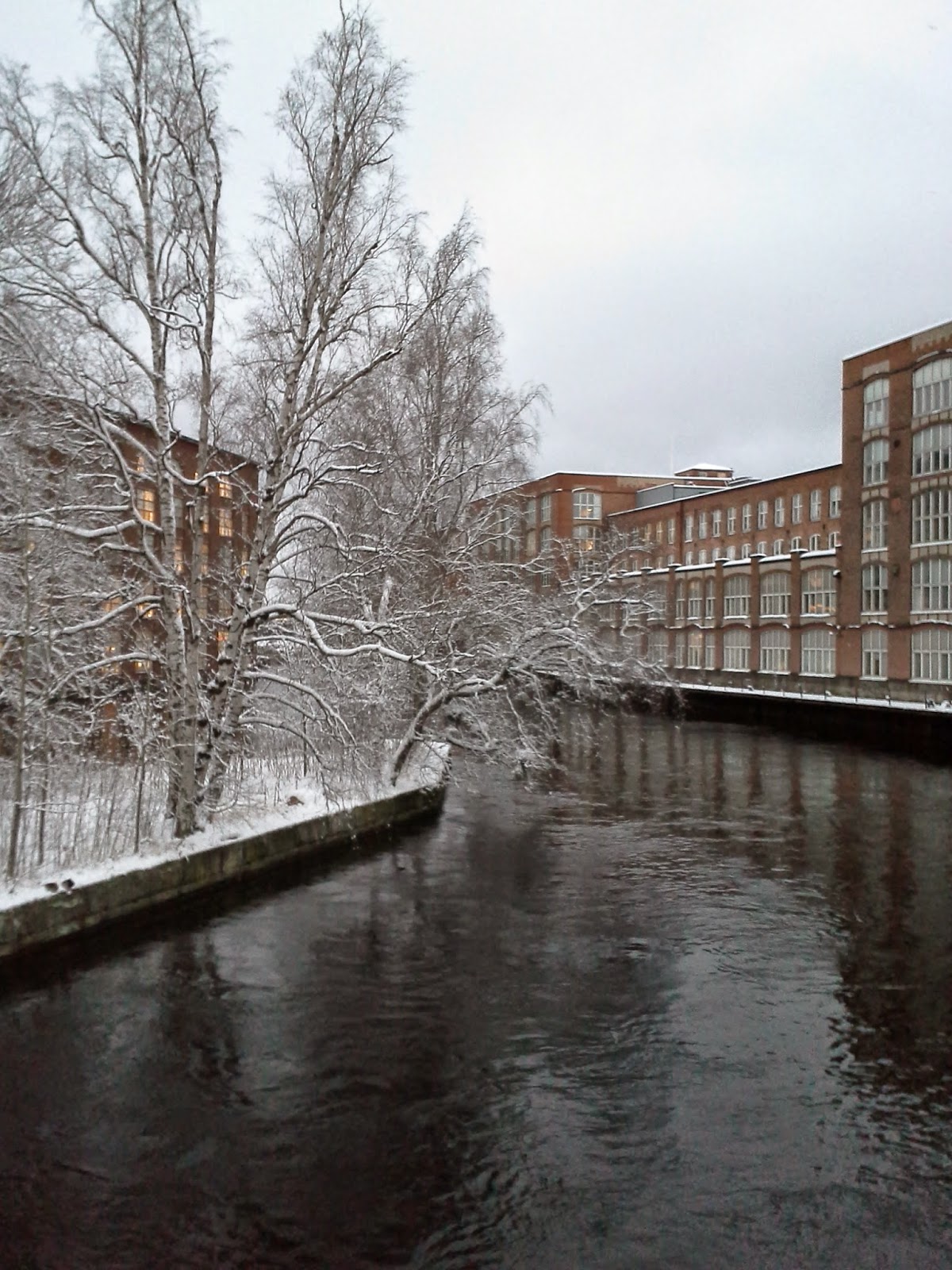 - Metsäpolkuja -: Marraskuu on kuukausista julmin