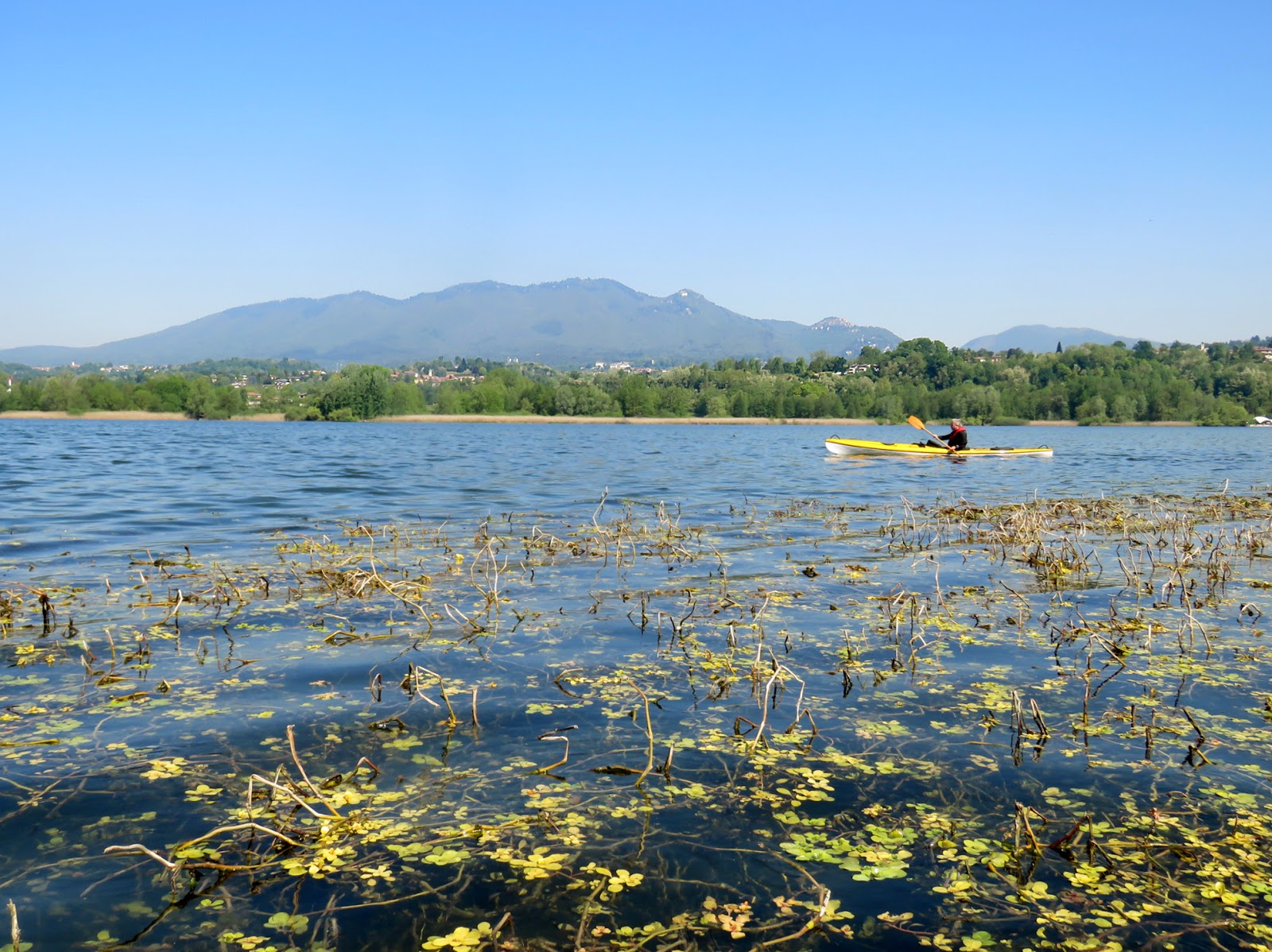 Kayak in mare, kayak al lago...: Il Lago di Varese in Aprile