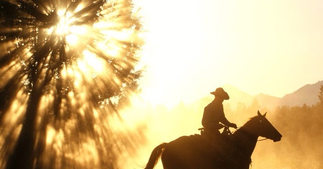 David Richardson's Blog: The Wounded Cowboy