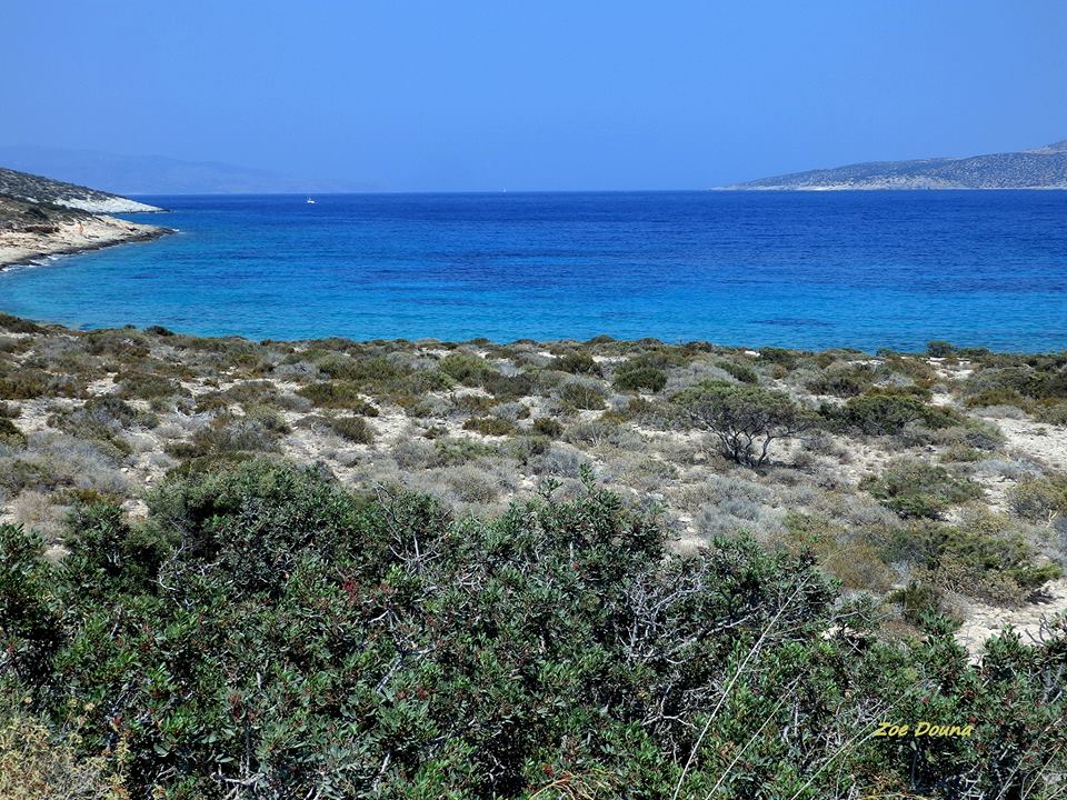 Homo Universalis: ΗΡΑΚΛΕΙΑ:ΜΙΚΡΟ,ΚΥΚΛΑΔΩΝ ΧΑΜΟΓΕΛΟ!- ΦΩΤΟΓΡΑΦΙΚΟ ...