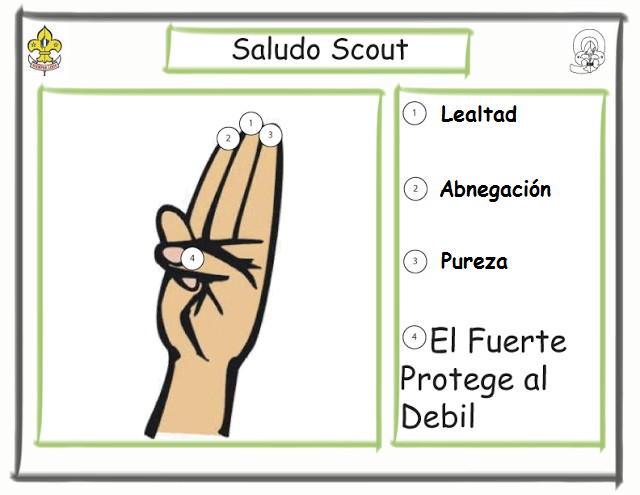 SCOUT: Signos Scout