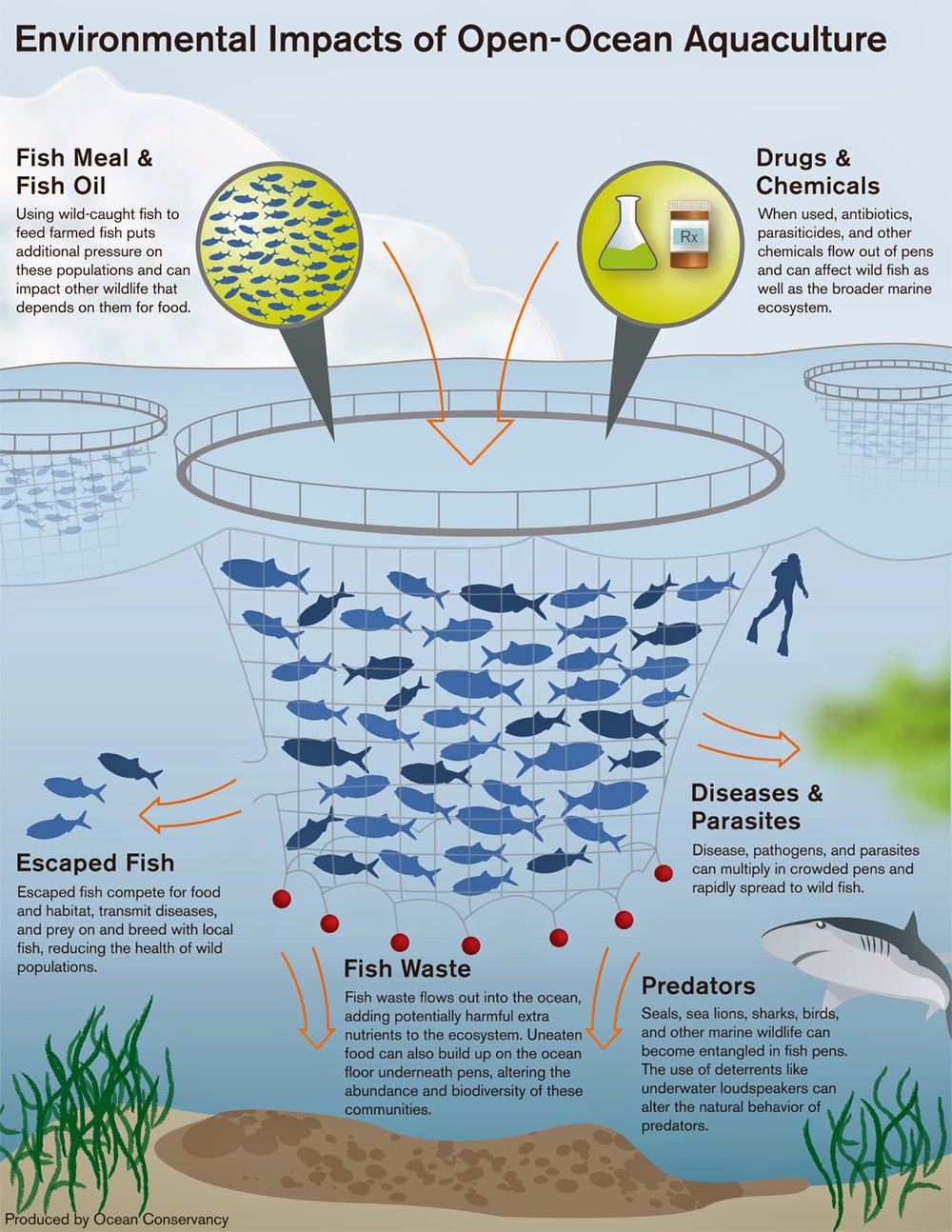 Farming Cultures: Fish Farming