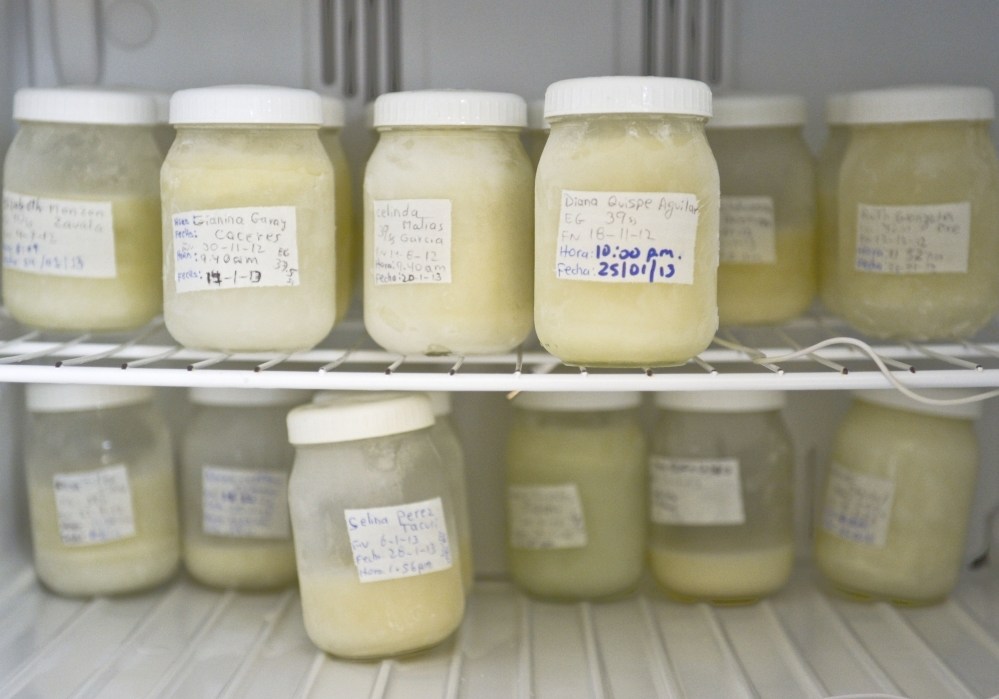 Breast Milk - Human Milk Production