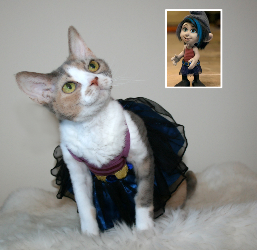 Daisy the Curly Cat: I'm a Smurf!