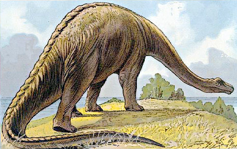 Vida Selvagem: O Gigante Diplodoco