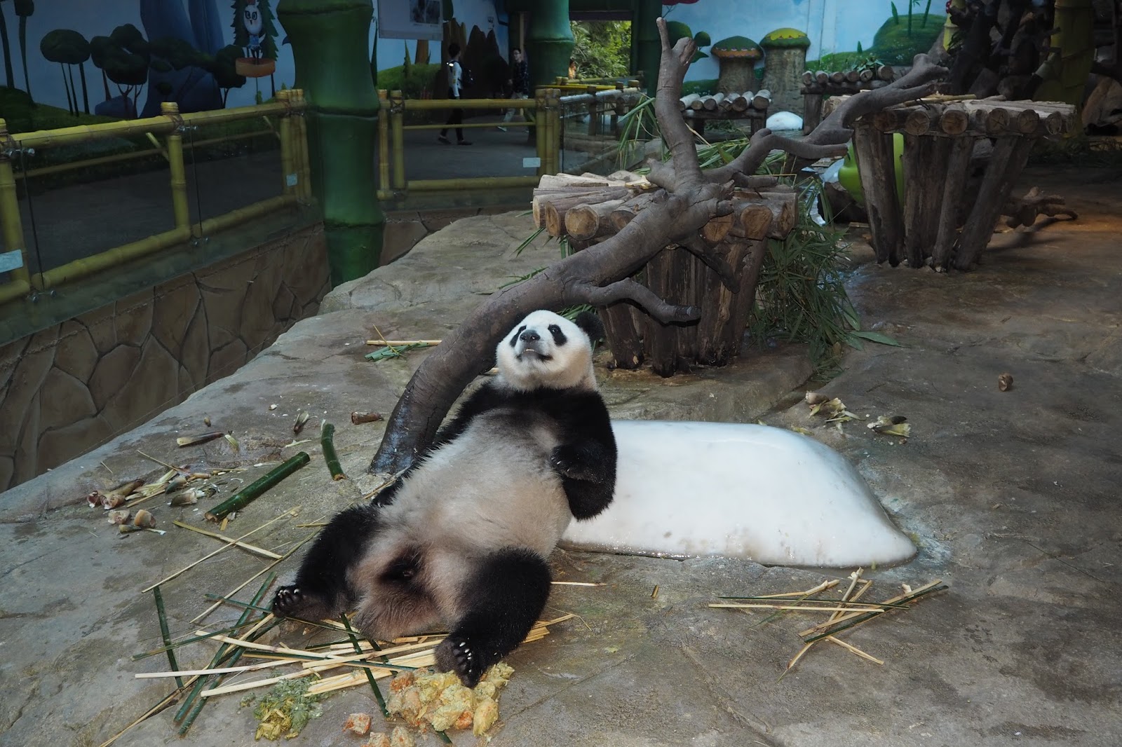 Kee Hua Chee Live!: AMBER CHIA BRINGS HER PARENTS CHIA HUN POY AND CHUA ...