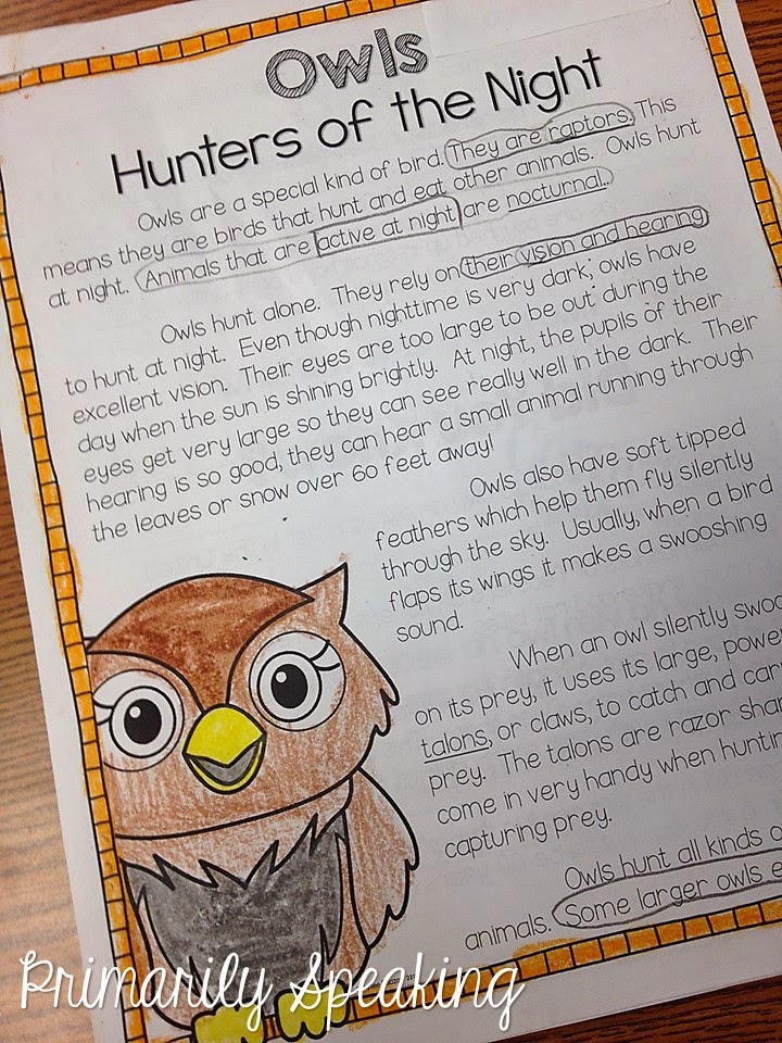 An Owl-tastic Unit of Study! | Primarily Speaking