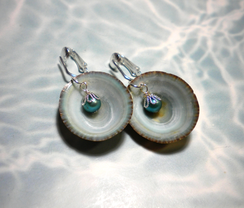 Del's Shells: New Seashell Earrings