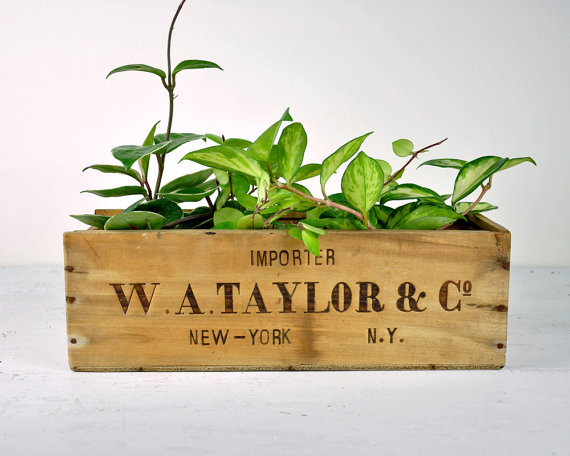 retropolitan: {super} easy primitive planters