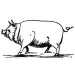 KidsAncientEgypt.com: Foods