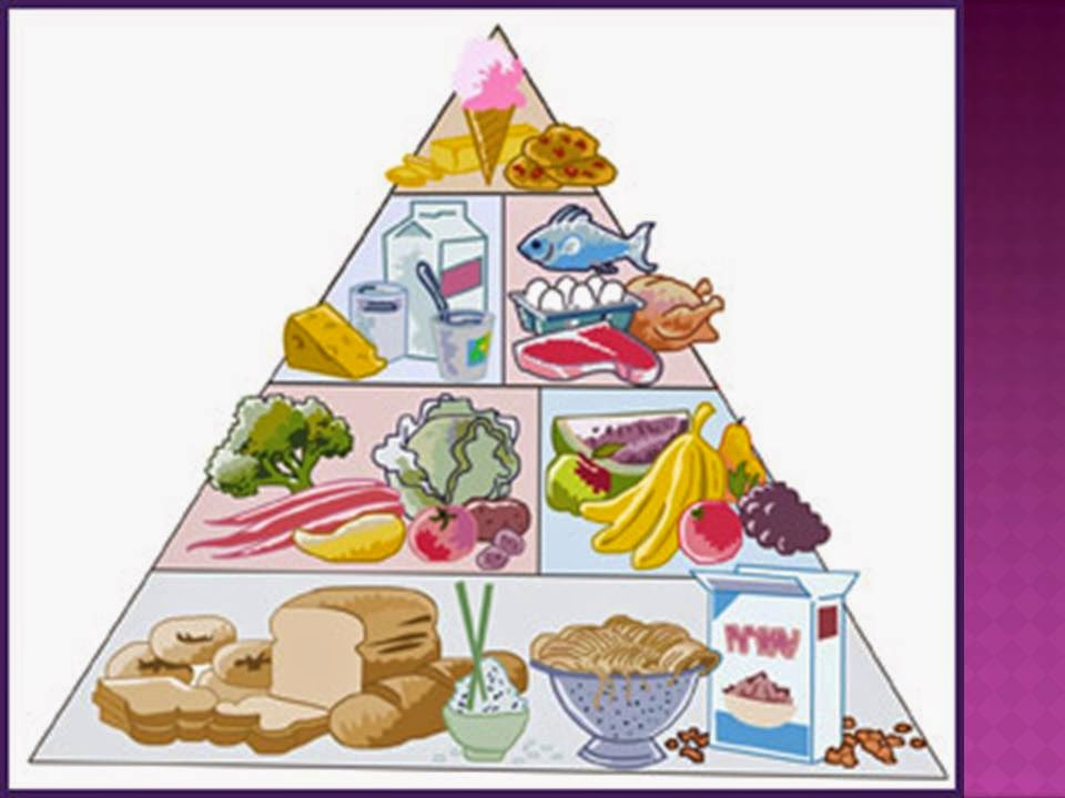 The Young European and Well-being : The Food Pyramid (Poland)
