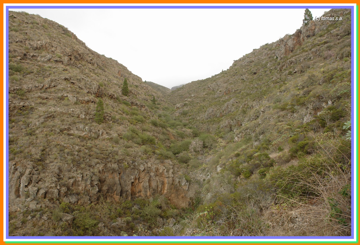 Tenerife senderos......: TENERIFE SENDEROS --GUIA ISORA-- EL JARAL -LAS ...