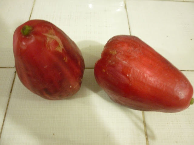 commuNICA: Fruit of the day: pera