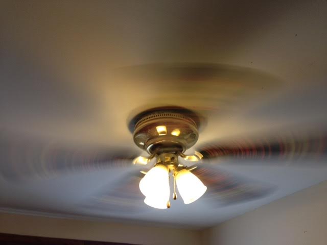 MnC Reviews: Fan Blade Designs: Change the look of your ceiling fan ...