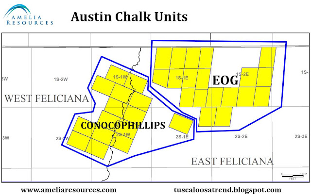 Austin Chalk Updates? | Money Talk