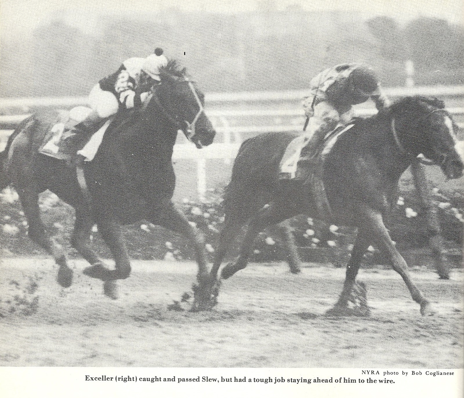 TJT's blog: Seattle Slew vs. Affirmed: Duels of the Triple Crown Winners