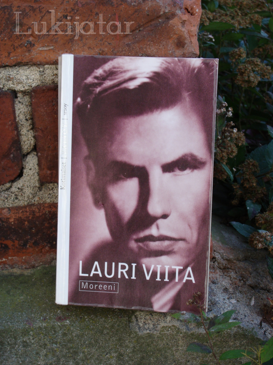 Lauri Viita: Moreeni